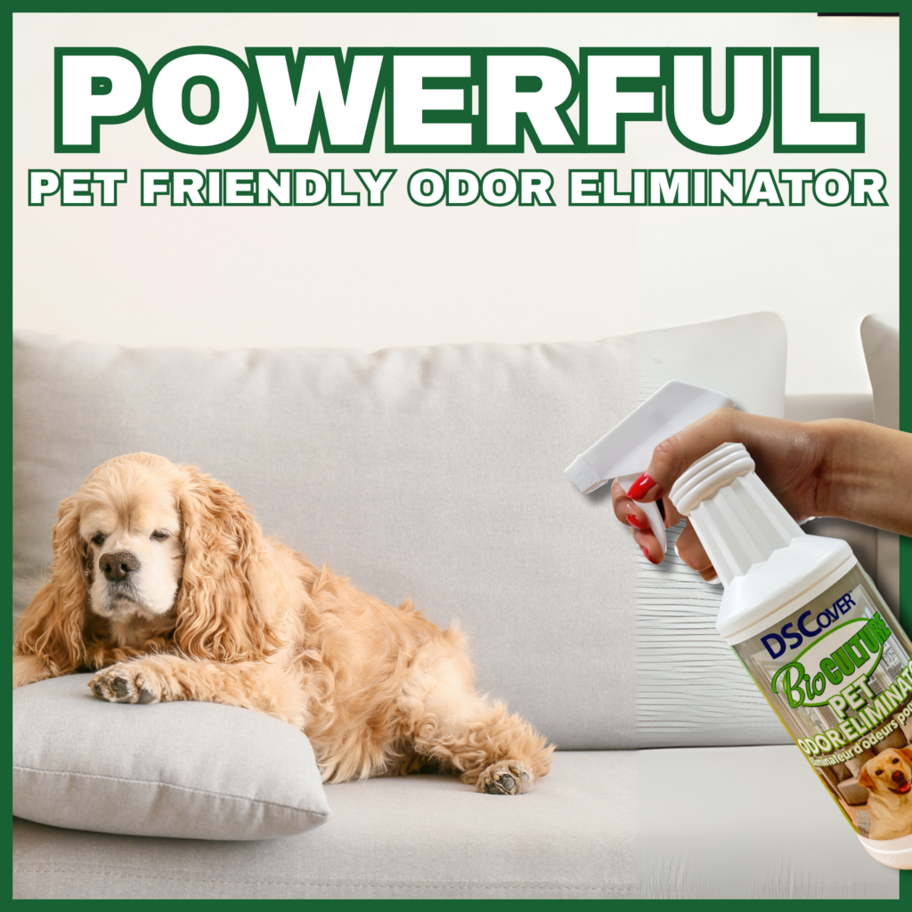 DSCover Pet Odor Eliminator Bio Culture 1L - Dscover